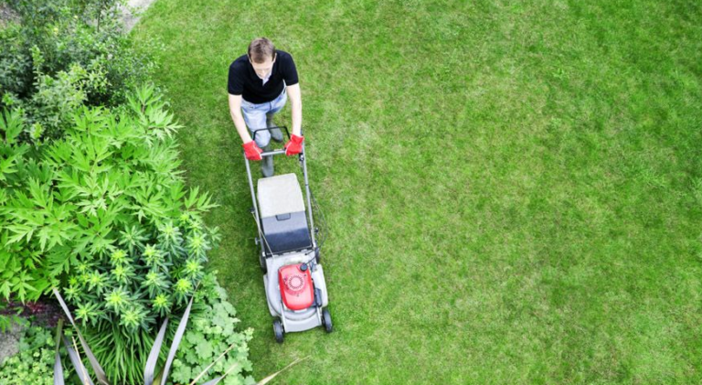 What to Look For in a Garden Service – Landscaping & Gardening